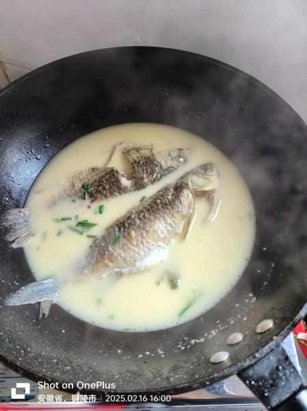 鲫鱼汤怎么炖才白_鲫鱼最正确的做法-第2张图片-山城妙识 鲫鱼汤怎么炖才白_鲫鱼最正确的做法-第2张图片-山城妙识