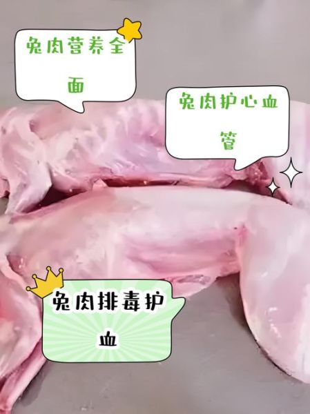兔肉的功效与作用禁忌_什么人不能吃兔肉-第1张图片-山城妙识