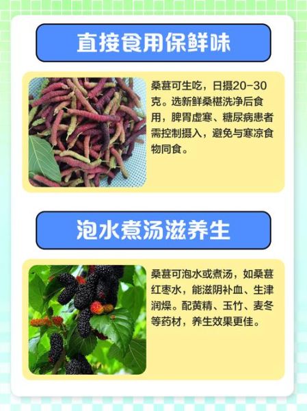 新鲜桑葚的功效与作用_新鲜桑葚怎么吃最好-第2张图片-山城妙识