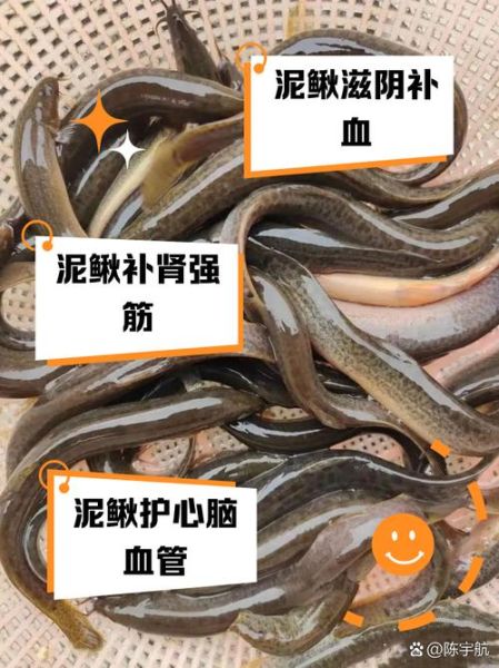 吃泥鳅的好处和坏处_吃泥鳅会上火吗-第1张图片-山城妙识