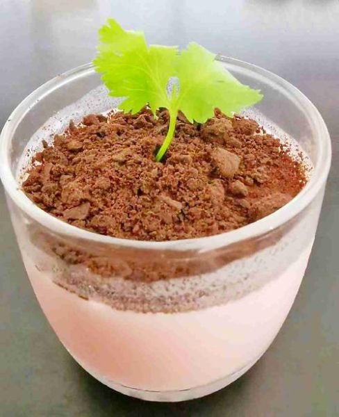 盆栽冰淇淋怎么做_盆栽冰淇淋DIY教程-第2张图片-山城妙识 盆栽冰淇淋怎么做_盆栽冰淇淋DIY教程-第2张图片-山城妙识