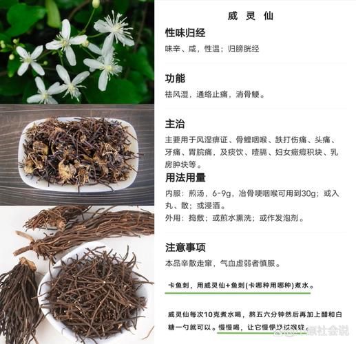 威灵仙有毒吗_威灵仙中毒怎么办-第3张图片-山城妙识