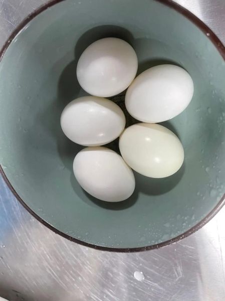鸽子蛋煮几分钟才熟_鸽子蛋煮多久不裂-第1张图片-山城妙识 鸽子蛋煮几分钟才熟_鸽子蛋煮多久不裂-第1张图片-山城妙识