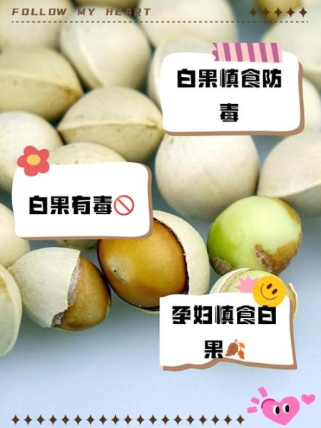 白果一天最多吃几颗_吃多了会怎样-第1张图片-山城妙识