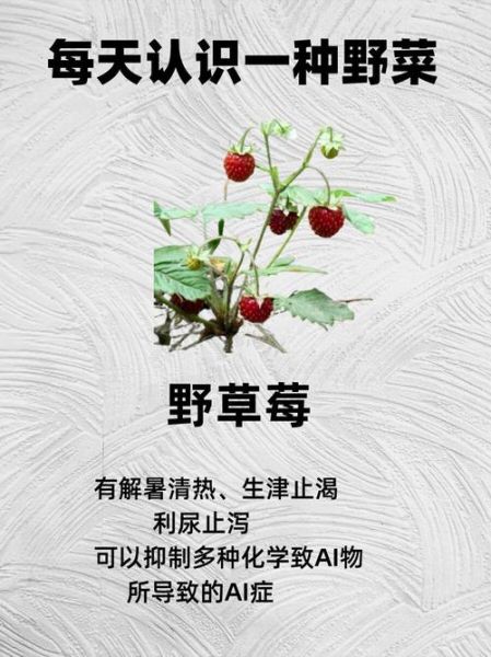 野草莓能吃吗_野草莓有毒吗-第1张图片-山城妙识 野草莓能吃吗_野草莓有毒吗-第1张图片-山城妙识