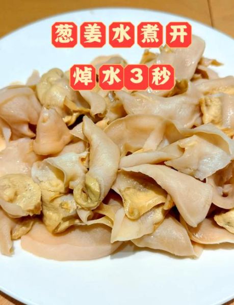 象拔蚌一样进入_象拔蚌怎么进入体内-第2张图片-山城妙识