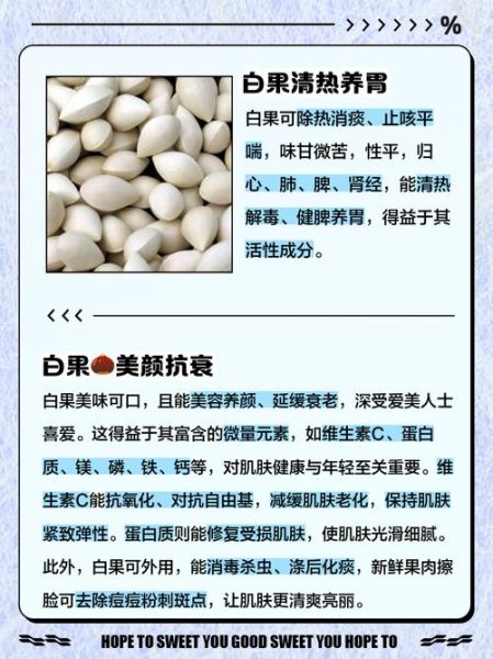 白果吃了对身体有什么好处_白果的功效与作用-第1张图片-山城妙识
