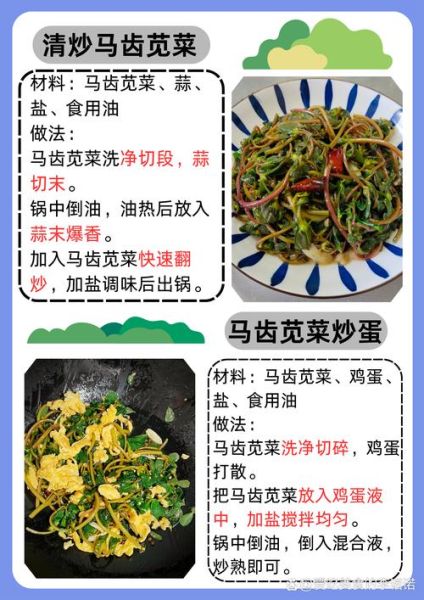 马齿苋菜怎么做好吃_马齿苋菜的家常做法-第1张图片-山城妙识