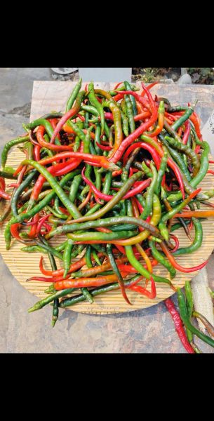 新鲜辣椒怎么炒好吃_新鲜辣椒怎么腌制好吃-第3张图片-山城妙识