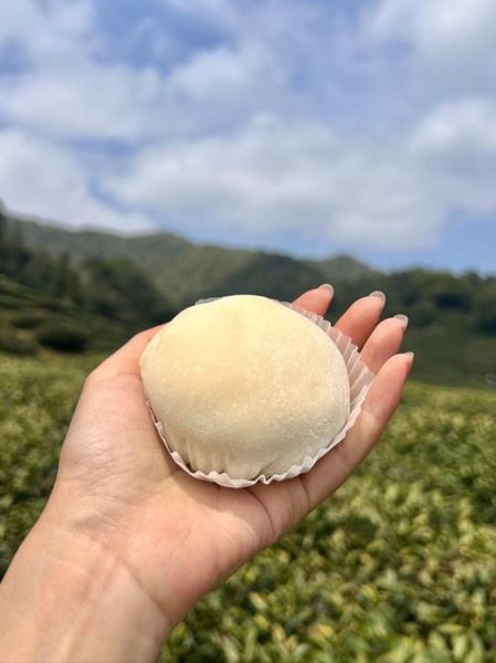 提拉米苏的含义是什么意思_为什么叫带我走-第2张图片-山城妙识