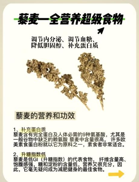 藜麦是什么东西_藜麦的营养价值高吗-第1张图片-山城妙识
