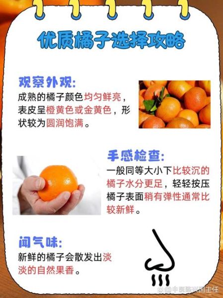 橘子上火吗_橘子下火吗-第1张图片-山城妙识 橘子上火吗_橘子下火吗-第1张图片-山城妙识