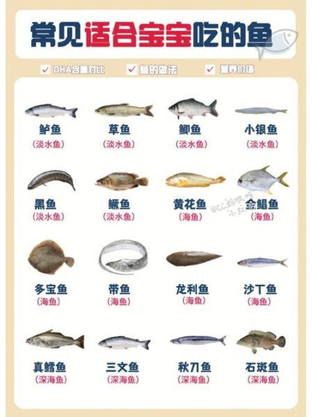 海里有哪些常见鱼_如何分辨深海鱼与浅海鱼-第3张图片-山城妙识