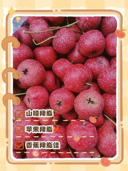 降血脂水果有哪些_哪些水果降血脂效果最好-第1张图片-山城妙识 降血脂水果有哪些_哪些水果降血脂效果最好-第1张图片-山城妙识