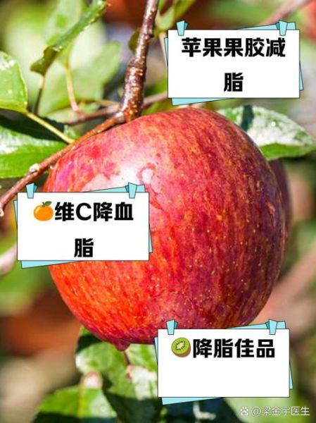 降血脂水果有哪些_哪些水果降血脂效果最好-第3张图片-山城妙识 降血脂水果有哪些_哪些水果降血脂效果最好-第3张图片-山城妙识