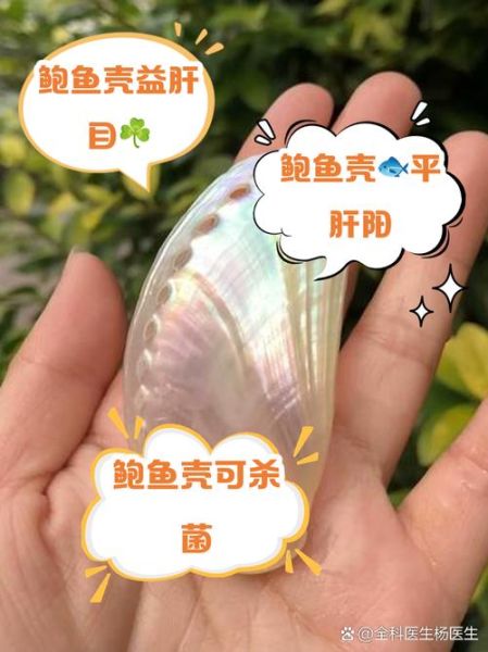 鲍鱼壳的功效与作用_鲍鱼壳怎么使用-第1张图片-山城妙识 鲍鱼壳的功效与作用_鲍鱼壳怎么使用-第1张图片-山城妙识