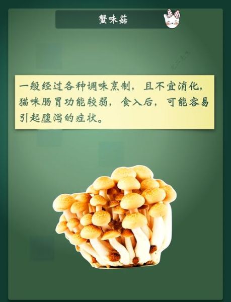 蟹味菇不能和什么一起吃_蟹味菇禁忌人群有哪些-第1张图片-山城妙识