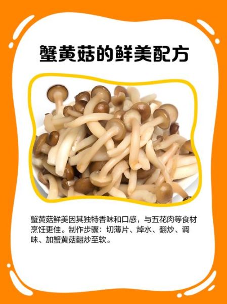 蟹味菇不能和什么一起吃_蟹味菇禁忌人群有哪些-第3张图片-山城妙识