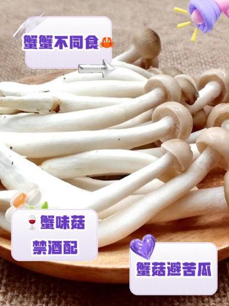 蟹味菇不能和什么一起吃_蟹味菇禁忌人群有哪些-第2张图片-山城妙识