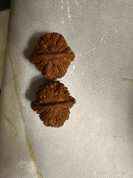 吃核桃能治白头发吗_核桃对白发真的有用吗-第2张图片-山城妙识