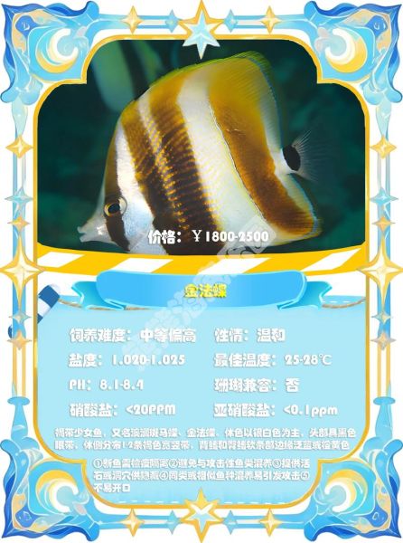 鲽鱼价格多少钱一斤_鲽鱼为什么这么贵-第1张图片-山城妙识