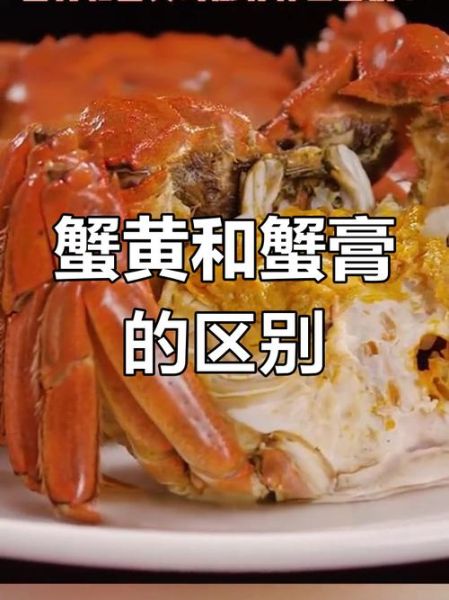 蟹黄蟹膏图解_蟹黄蟹膏区别在哪-第3张图片-山城妙识