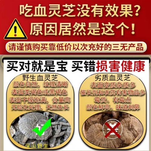 血灵芝图片真假鉴别_血灵芝功效与作用-第2张图片-山城妙识 血灵芝图片真假鉴别_血灵芝功效与作用-第2张图片-山城妙识