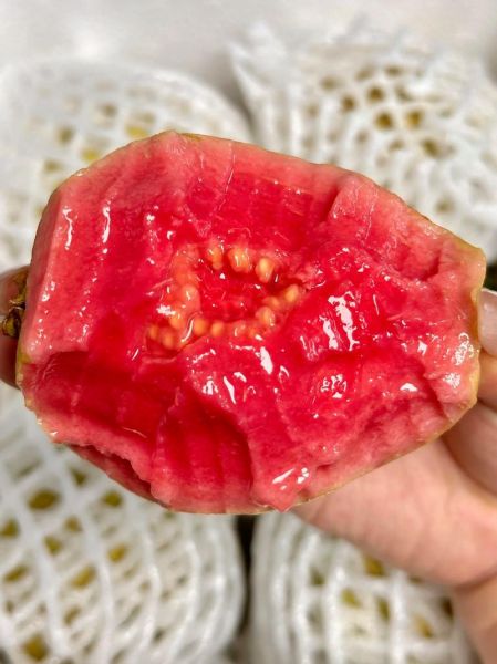 红心番石榴怎么吃_红心番石榴吃法大全-第3张图片-山城妙识