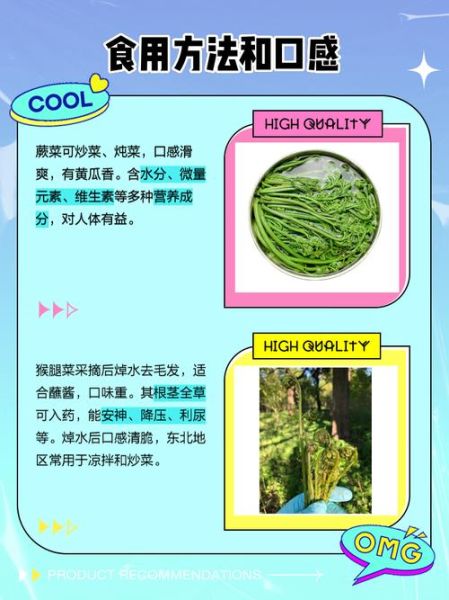 猴腿菜和蕨菜的区别_猴腿菜和蕨菜哪个好吃-第1张图片-山城妙识