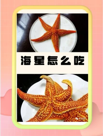 海星怎么吃才安全_海星食用禁忌有哪些-第1张图片-山城妙识