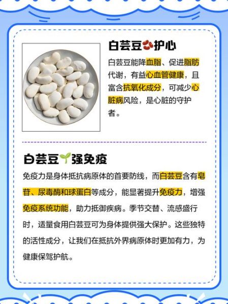 白芸豆哪些人不能吃_白芸豆禁忌人群-第1张图片-山城妙识