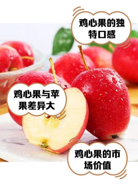 鸡心果是苹果吗_鸡心果和普通苹果的区别-第1张图片-山城妙识