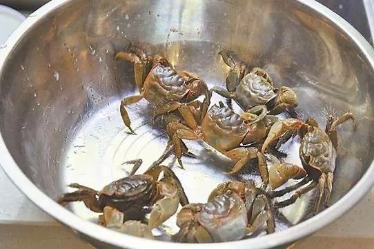 蟛蜞图片_蟛蜞和螃蟹的区别-第3张图片-山城妙识