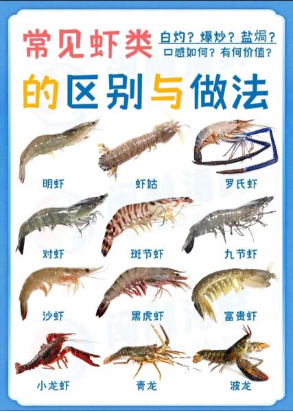 常见虾的种类有哪些_如何区分对虾与基围虾-第1张图片-山城妙识