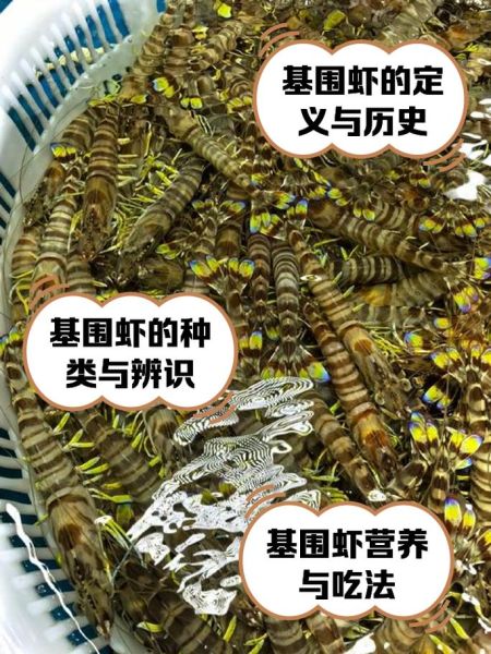 常见虾的种类有哪些_如何区分对虾与基围虾-第3张图片-山城妙识