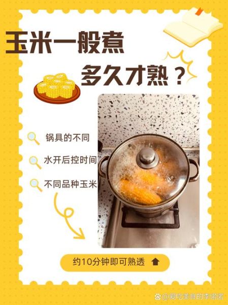玉米煮多久才熟_玉米煮多久能熟-第1张图片-山城妙识