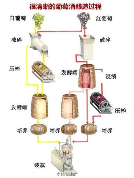 葡萄酒怎么酿制_自酿葡萄酒步骤-第2张图片-山城妙识
