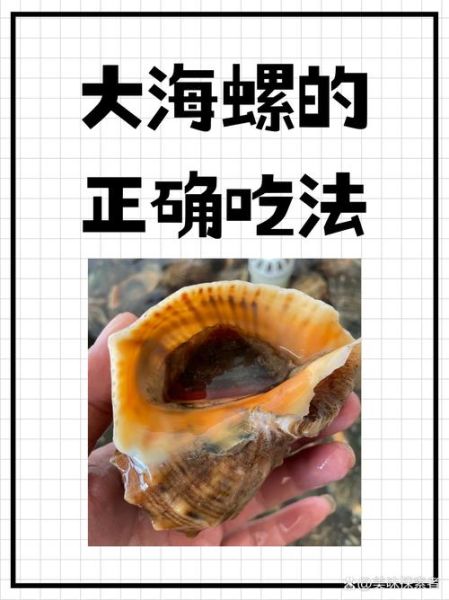 海螺怎么吃_海螺的做法大全-第2张图片-山城妙识