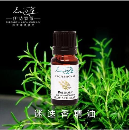 迷迭香精油生发效果怎么样_迷迭香精油怎么用才生发-第1张图片-山城妙识