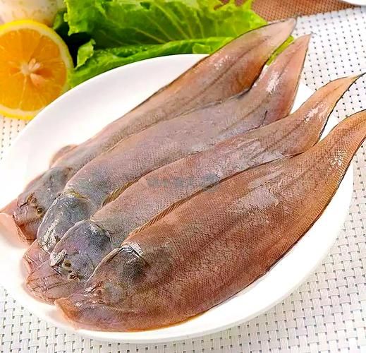 玉秃鱼是什么鱼_玉秃鱼产地在哪里-第1张图片-山城妙识