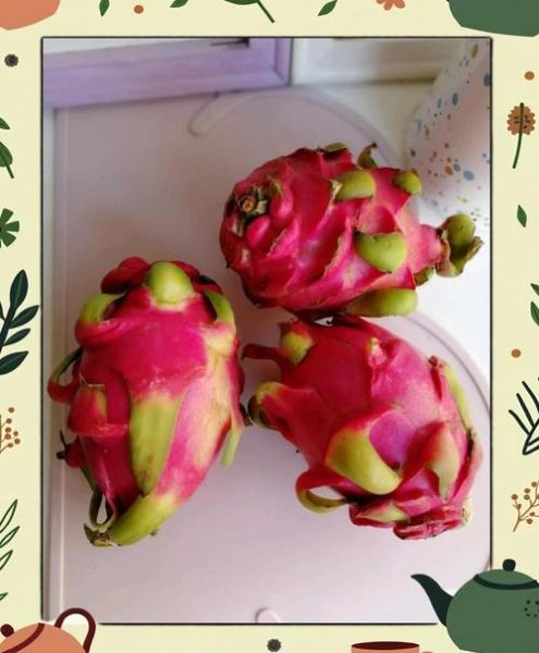 火龙果皮可以吃吗_火龙果皮怎么吃-第3张图片-山城妙识