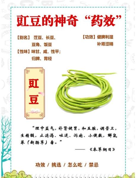长豆角的功效与禁忌_哪些人不能吃-第1张图片-山城妙识