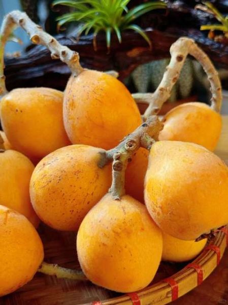 清明吃什么水果_清明时节哪些水果最养生-第1张图片-山城妙识