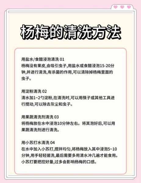 杨梅怎么洗干净_杨梅清洗的正确方法-第1张图片-山城妙识