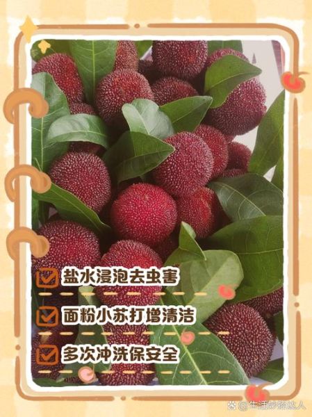 杨梅怎么洗干净_杨梅清洗的正确方法-第3张图片-山城妙识