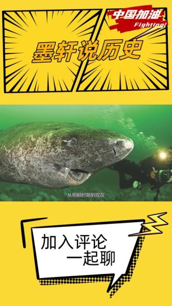 已灭绝的十大鲨鱼有哪些_它们为何消失-第3张图片-山城妙识 已灭绝的十大鲨鱼有哪些_它们为何消失-第3张图片-山城妙识