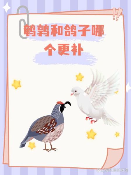 鹌鹑和鸽子的区别_哪个更适合家庭养殖-第1张图片-山城妙识