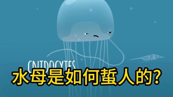 食人水母真的存在吗_食人水母毒性有多强-第2张图片-山城妙识