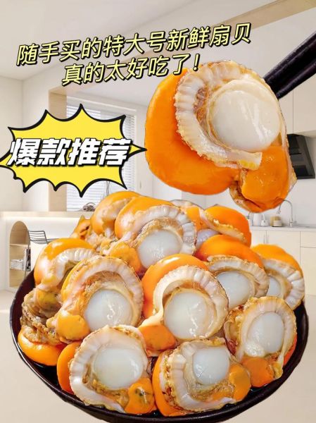 扇贝肉的营养价值_吃扇贝肉有哪些好处-第3张图片-山城妙识