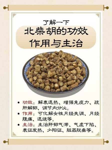 北柴胡的功效与作用_北柴胡的副作用有哪些-第1张图片-山城妙识
